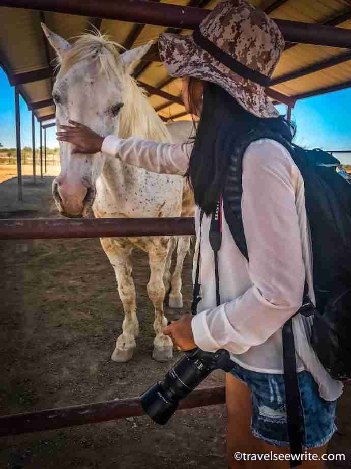 Phoenix, Arizona: Things to do in 72 Hours - travelseewrite