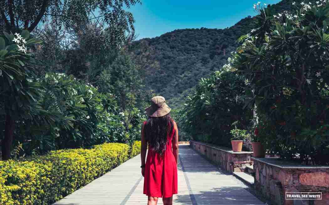 Why Tree of Life Vantara Resort is one of the Best Hotels in Udaipur ...