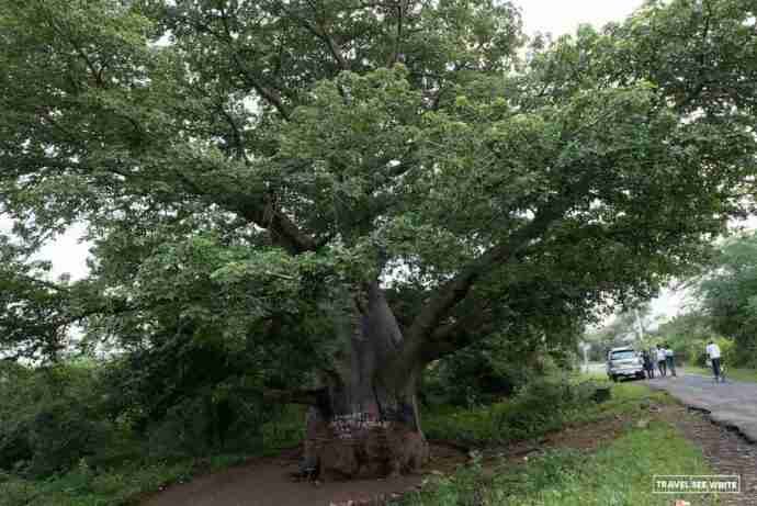 Banswara, the greenest city of Rajasthan that no one knows about ...