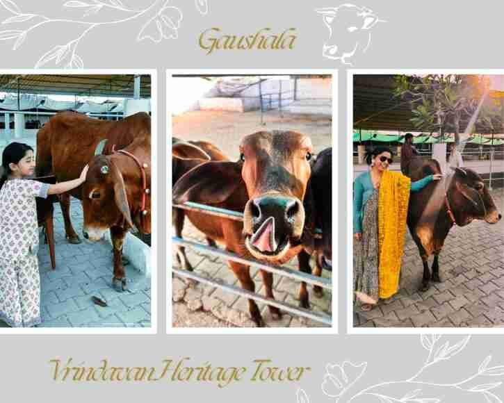 Unique Things to Do in Vrindavan in 3 Days: My Holi Experience - Travel ...
